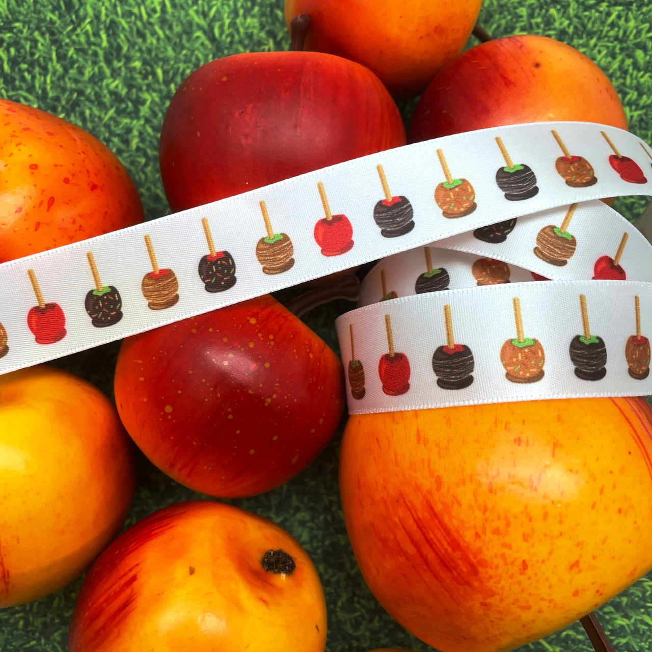 Fall Ribbon | Harvest and Autumn Ribbons