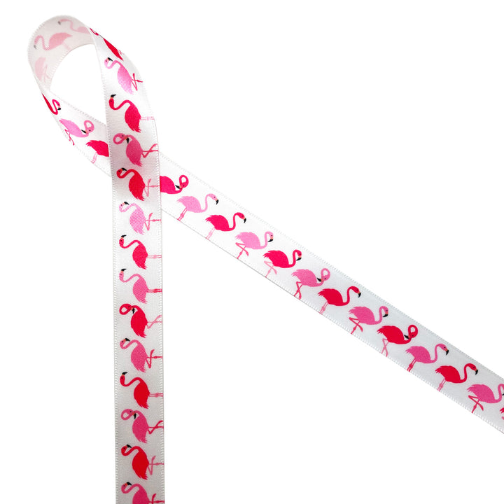 Birthday Ribbon | Gift and Birthday Party Ribbon